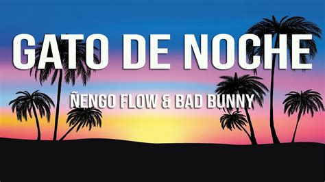 Engo Flow Ft Bad Bunny Gato De Noche Letra Lyrics Youtube