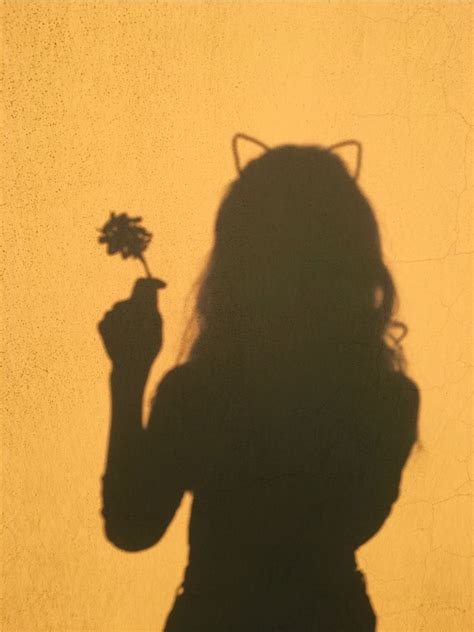 Aesthetic Shadow Profile Pic Iwannafile