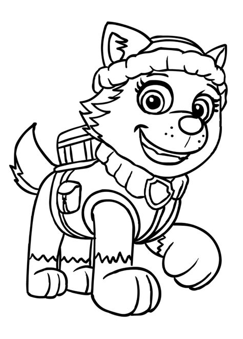 Desenho Para Colorir De Everest