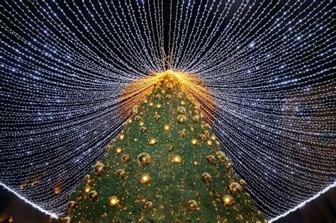 ASÍ SE VIVIÓ EL ENCENDIDO DEL ÁRBOL DE NAVIDAD EN PLAZA DE ARMAS El