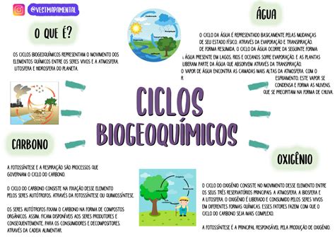 Mapa Mental Sobre Ciclos Biogeoquímicos FDPLEARN