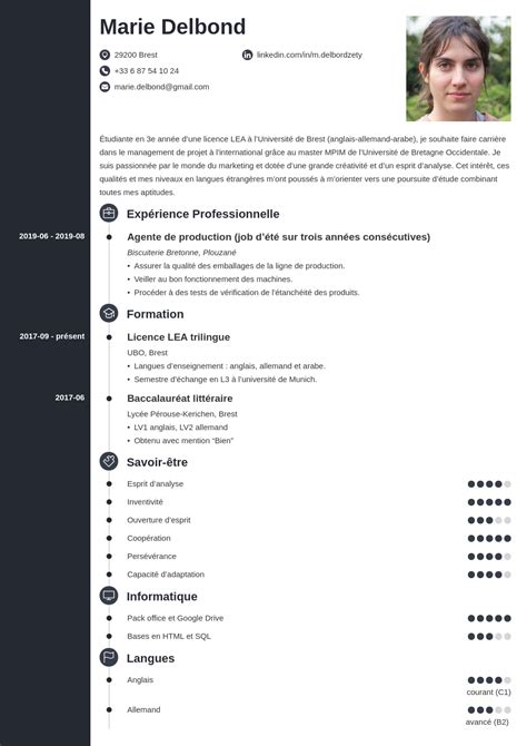 Comment D Crire Son Niveau De Langue Sur Le Cv