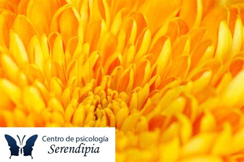 La Psicología del Color Amarillo Centro Serendipia