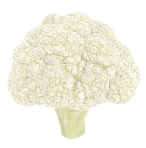 D Rendern Von Ein Wei Blumenkohl Isoliert Auf Transparent Hintergrund
