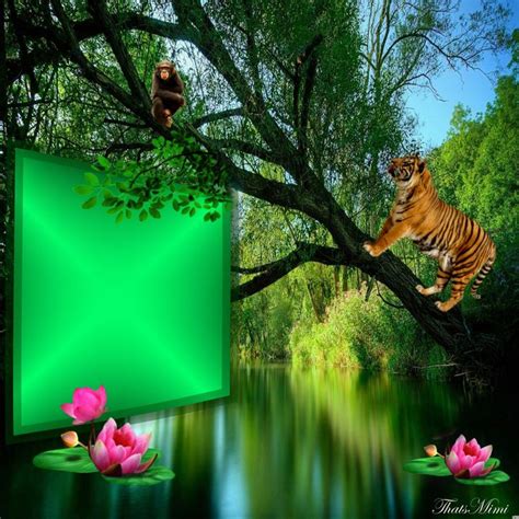 Thatsmimi S Picture Frames April June Wild Landscape