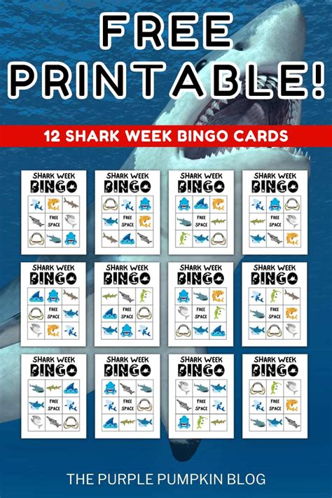 Free Printable Shark Bingo Cards For Shark Week Bingo Games
