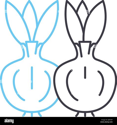 icono de línea vegetal cebolla símbolo de contorno ilustración de
