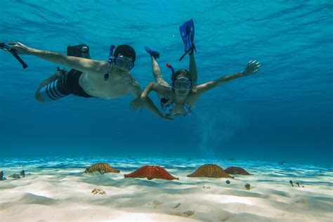 Cozumel Snorkeling Tour To Palancar Columbia And El Cielo Reef 2024