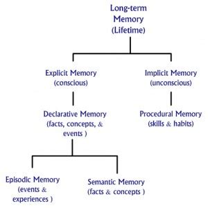 Long Term Memory Chart The Peak Performance Center