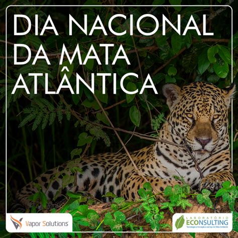 Dia Nacional da Mata Atlântica Laboratório Econsulting