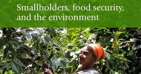 El Cuexcomate Agricultura A Peque A Escala Y Seguridad Alimentaria