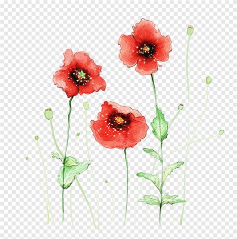 Recopilación imagen 100 flores en acuarela png Abzlocal mx