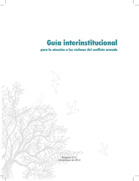 Guía interinstitucional RNI