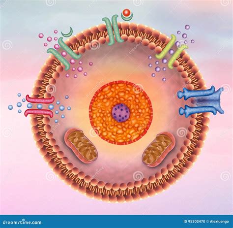 Different Cell Receptors Stock Illustration Illustration Of Cells