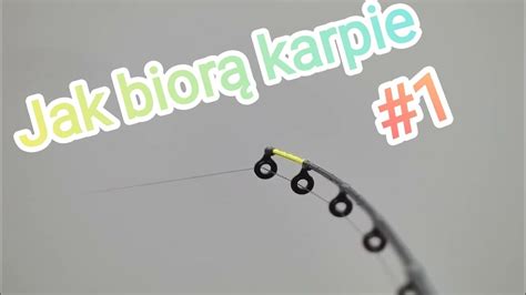 Jak biorą karpie kompilacja brań 1 YouTube