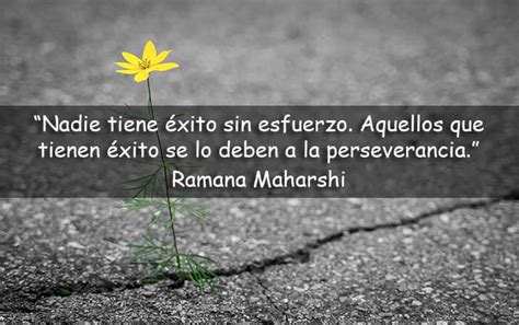 Arriba 40 Imagen Refranes Acerca De La Perseverancia Viaterra Mx