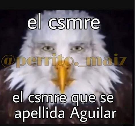 El Csm Que Se Apellida Aguilar Meme Subido Por Memero Pro 4k