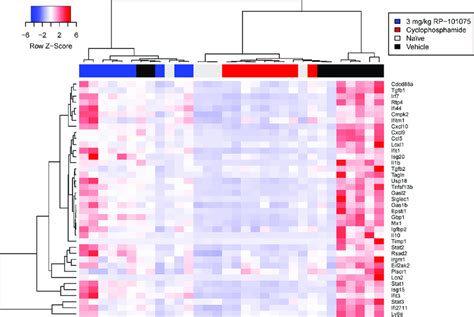 Heatmap Of Samples Clustered By Global Gene Expression Showing Samples