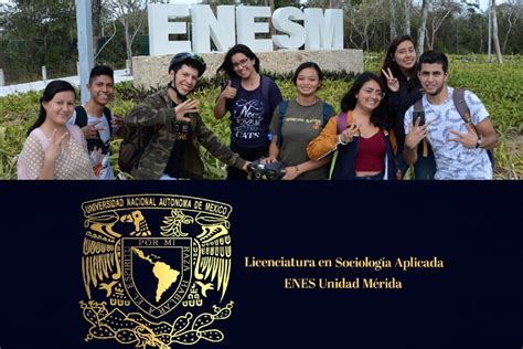 Aprueba Consejo Universitario Creaci N De La Licenciatura En Sociolog A