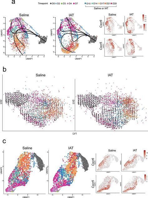 multiple computational approaches for trajectory inference of pbtii download scientific diagram
