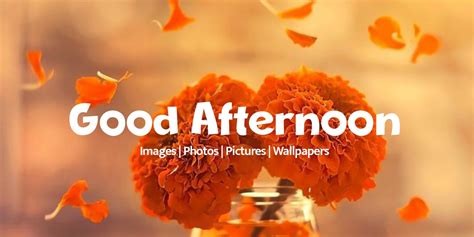 Top 999 Good Afternoon Images Messages Amazing Collection Good
