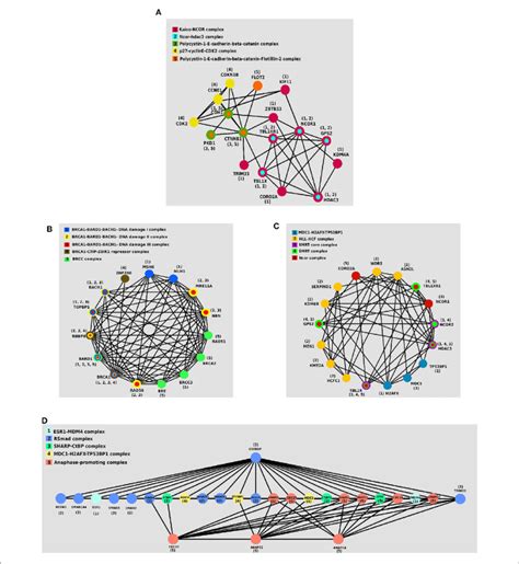 The Protein Protein Interaction Ppi Networks Of Protein Complexes