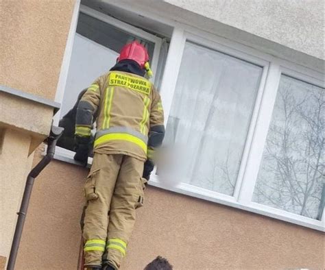 W mieszkaniu znaleźli zwłoki