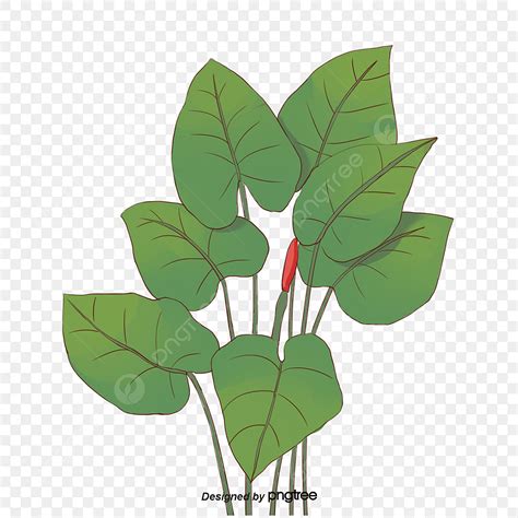 Green Plant Leaves Hd Transparent Leaves Of Green Plants Element