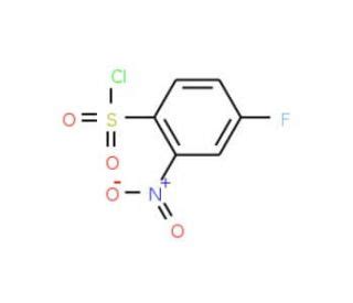 4 Fluoro 2 Nitro Benzenesulfonyl Chloride SCBT Santa Cruz Biotechnology