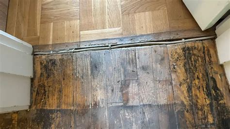 Parkett Reparieren Hamburg Parkett Wasserschaden