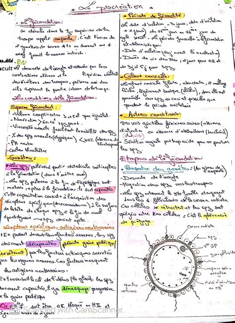 Bac Sc expérimentales Sciences SVT resume science toute l annee