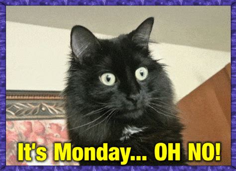 Monday Morning Icegif