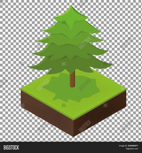 Big Isometric Spruce Vector Photo Free Trial Bigstock