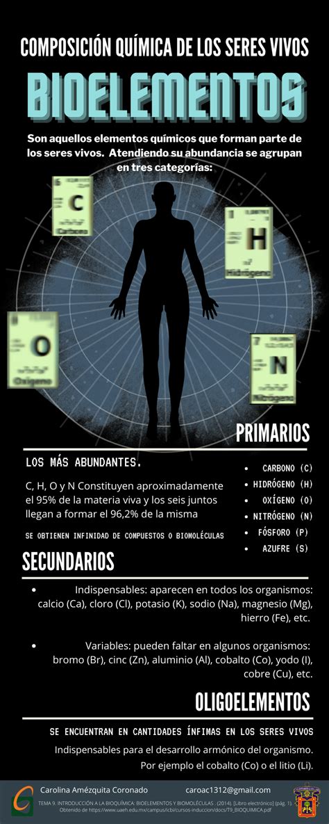 Infografía sobre los elementos químicos que forman parte de los seres