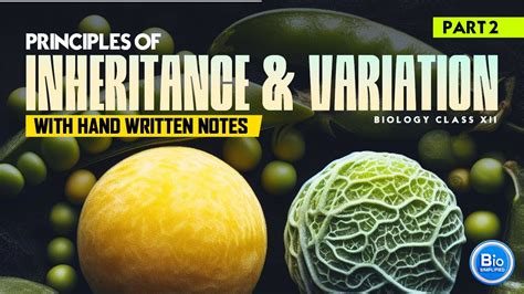 principle of inheritance and variations part 2 biology class xii biosimplified youtube