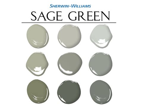 Sage Green Paint Palette Sherwin Williams Whole House Paint Colors
