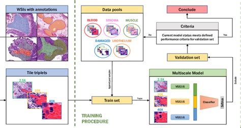 active learning framework tri al pathologists annotate rois from download scientific diagram