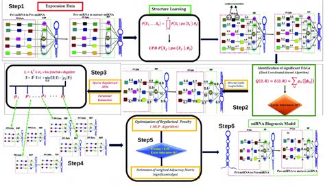 the basic steps taken in bayesian network reconstruction different download scientific diagram