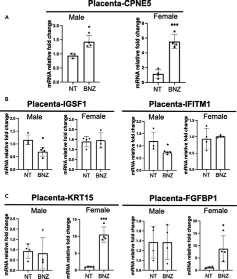 Validation Of Candidate Differentially Expressed Genes By Rt Qpcr A