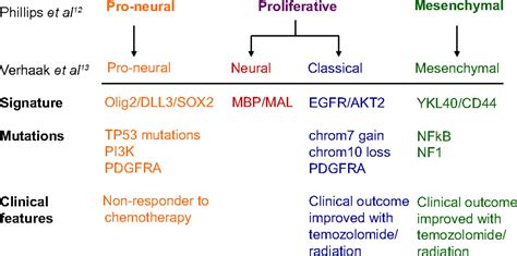 Key Concepts In Glioblastoma Therapy Journal Of Neurology