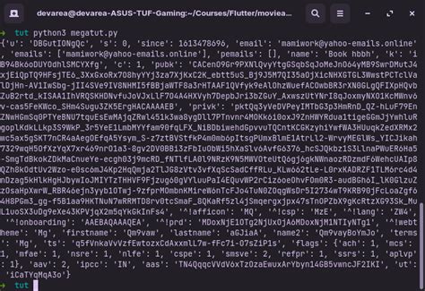 how to use mega nz api with python geeksforgeeks