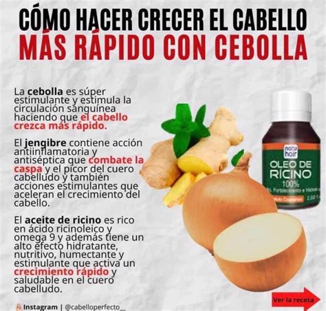 24 Tratamientos Para Cabello Caseros HIDRATADO BRILLOSO Y SALUDABLE