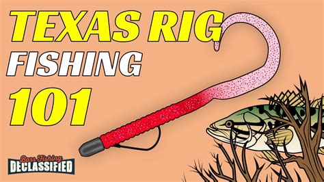The 1 LURE To Catch Bass Texas Rig Fishing 101 Bass Manager The