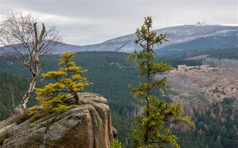 D Couvrez La Montagne Brocken Dans Le Parc National De Harz Belvilla