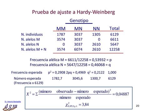 Genética de Poblaciones Equilibrio Hardy Weinberg ppt descargar