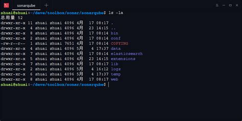 【代码审计】使用sonarqube的进行代码质量分析管理 技术指南