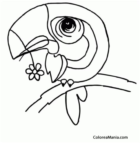 Colorear Tucán todo cabeza Aves dibujo para colorear gratis