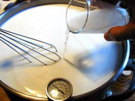 Qué es el cuajo animal y cómo se utiliza en la cocina Blog Canarias Lofts