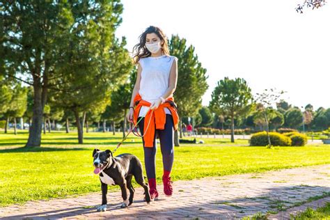 5 reglas básicas para pasear al perro