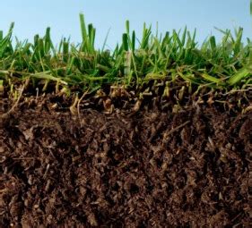 Importancia del suelo en la producción agrícola Composición y